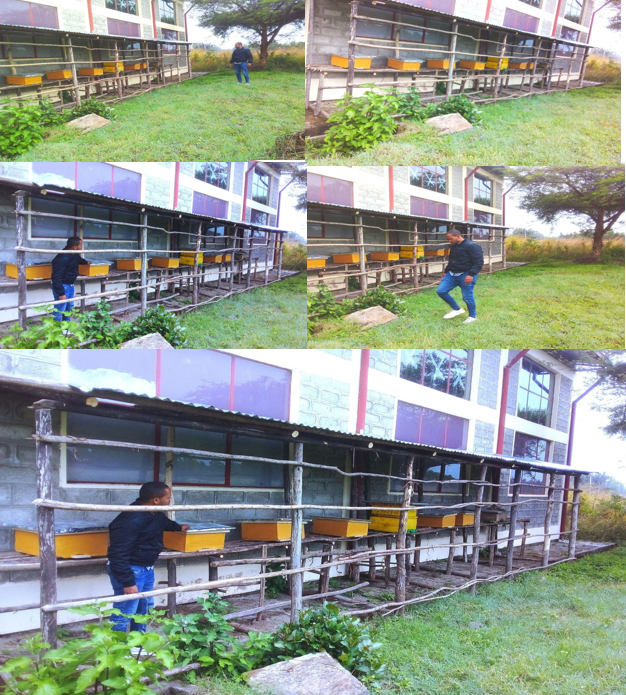 Home | Dalocha Polytechnic College